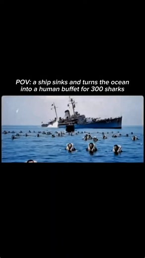unknownu.exe on Instagram: "On July 30, 1945, the heavy cruiser USS Indianapolis was struck by two torpedoes from the Japanese submarine 1-58 in the Philippine Sea. The vessel sank in just twelve minutes, casting approximately 900 men into the deep water. They lacked sufficient lifeboats and were left drifting in life vests with no food or fresh water. The survivors faced severe dehydration and saltwater poisoning, but the primary horror was the massive school of oceanic whitetip sharks. Attract