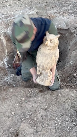 818K views · 3.2K reactions | Gold dedecting Time Adventure كنوز...