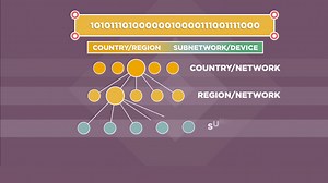 IP addresses and DNS