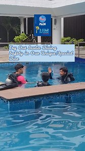 License to dive and vibes to match 錄. Book our dive package with...