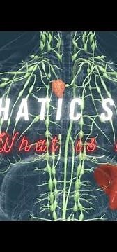 Lymphatic system 3D animation | lymph nodes | lymphatic fluid | lymph vessels | lymphatic drainage