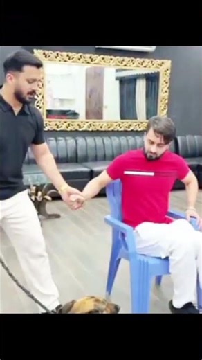 Haider Shah Dog 🐕 fear Facing challenge done Rajab Haider best bonding