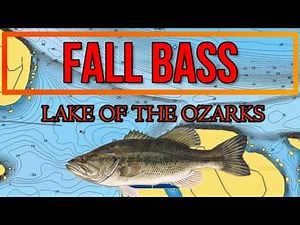 Fall Bass Breakdown | Lake of the Ozarks