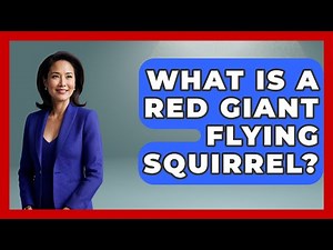 What Is A Red Giant Flying Squirrel? - The Wild Life Explorer