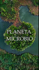 Hi guys, here you can watch the trailer for our series "Planet Microbe," where you can discover the secrets of the microscopic world like never before. Cheers 😁🦠 The series is available on CaixaForum @caixaforum . . . #science #biology #microscopy #sciencecommunication | Science into Images