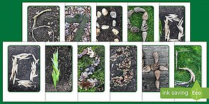 Nature-Themed Numbers 0-10 Display Posters