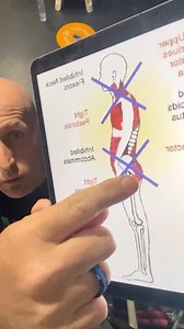 11K views · 187 reactions | How to use a HIP BRIDGE to solve ALL OF YOUR PROBLEMS! 勞 Thi really works!! Get The Book of Painless Exercise here are the links for the BUNDLE AND DIGITAL OPTIONS, Digital - https://www.romfit.com/products/pnlexdg Bundle - https://www.romfit.com/products/pnlbundle Become a Better Human #becomebetterhuman | Range of Motion | Facebook