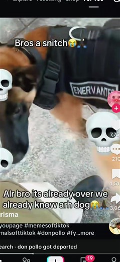 scratch vr (@scratch.vr83)’s videos with original sound - scratch vr