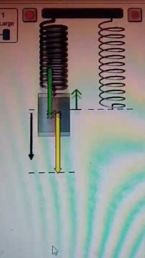 simple harmonic motion of spring