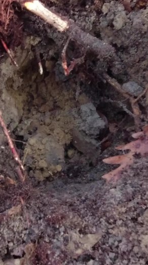 Love finding these! #metaldetecting #history #old | Gone Diggin