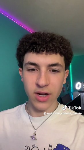 Cheese or Pictures? Dilemma Explained with Awesome Cheese Mouse