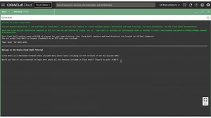Take a look at the new #OCI Cloud Console Tutorial embedded into the free Oracle Cloud shell—a web-based shell environment preloaded with all the tools you need. https://social.ora.cl/6181OONjW | Oracle Developers