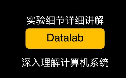 【深入理解计算机系统 实验1 CSAPP】datalab   环境搭建 data lab