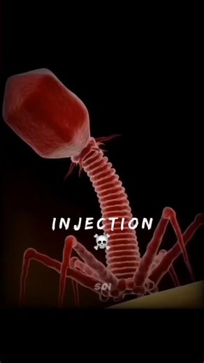 The "Mystery" Style 🤔The World’s Most Immortal Being? #shorts