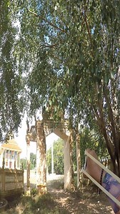 #reelsviralシ #slingshot #hunting #catapult #huntingbirds | Nak Slingshot 03