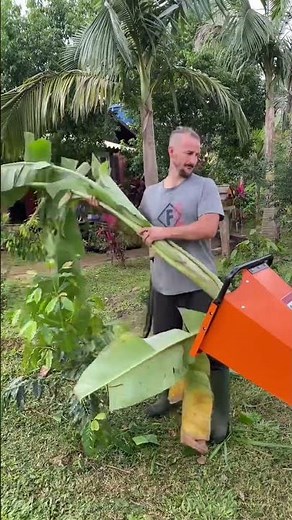 This diet is ideal for both herbivorous and omnivorous fish.