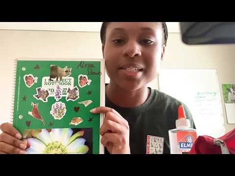 How to Create a Science Journal