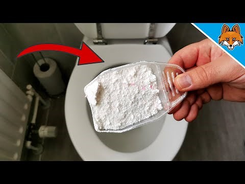 Dump WASHING POWDER into your Toilet and WATCH WHAT HAPPENS 💥