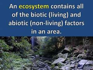 Levels of Organization in Ecosystems