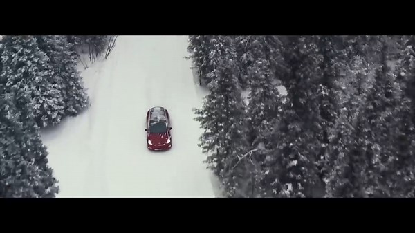 Tesla’s Secret Weapon? The Texas-Built Model Y You Need to See