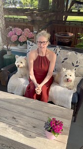 57K views · 4.4K reactions | As everyone knows, Piper has made a career out of hiding my slippers—never to be found! Slipper situation rectified ❤️ | The Piper Chronicles | Facebook