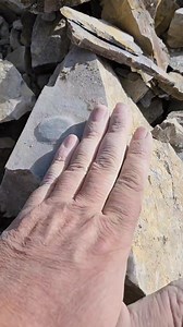 3.8M views · 55K reactions | So satisfying!  | U-Dig Fossils | Facebook