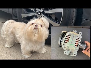 Mercedes-Benz c230 alternator replacement