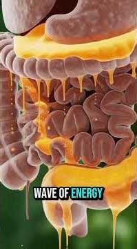 “Mango Juice Journey Through the Human Body | 3D Anatomy & Nutrient Absorption Visualization”