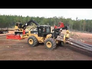 Cat® 525C Wheel Skidder