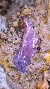 Digging up crystal gems4 #gold #emeralds #agate #gems #gold #pearl | Diamond Hunter