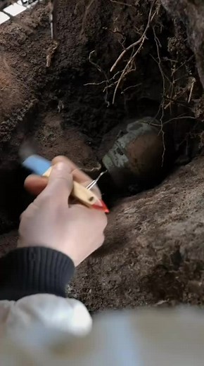 Клад #находка #новости