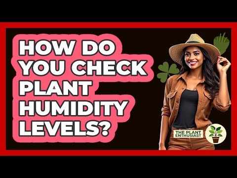 How Do You Check Plant Humidity Levels?