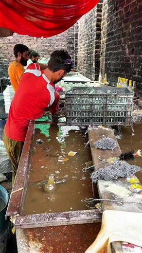 Creator Search Insights for TikTok Growth