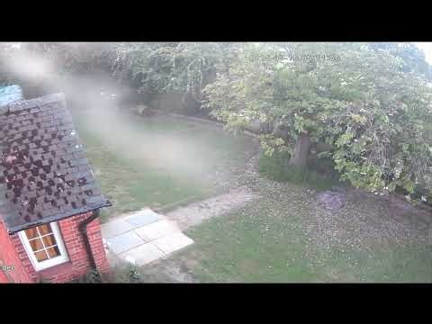 A year in the garden, one still moment each day