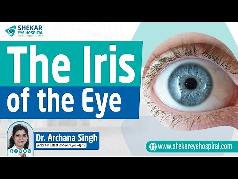Iris and Pupil: Functions, Structure| What Determines the Color of the Eyeball?| Shekar Eye Hospital