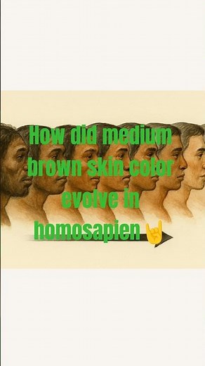 evolution of medium brown skin color in homosapien 🤘