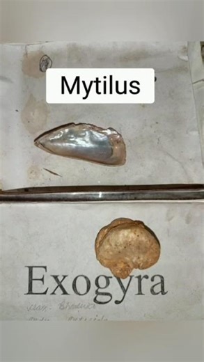 Geo practical part -2