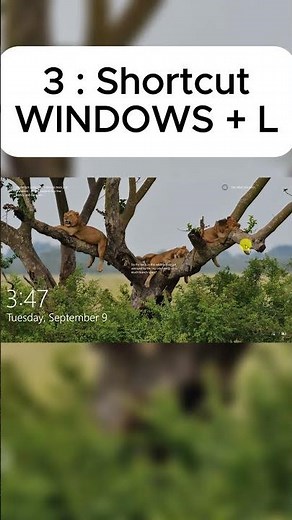 “3 Windows Shortcuts You MUST Know! 💻 Save Time Instantly”
