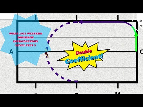 WDAA 2022 WESTERN DRESSAGE INTRODUCTORY LEVEL TEST 3
