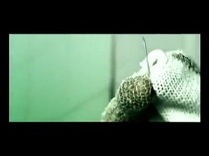 Deathstars - Cyanide