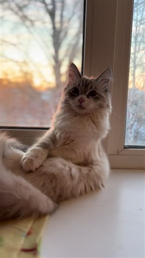 Юля Mad Girl Rust (@mad_girl_rust)’s videos with Maybe - DJ Bombompret