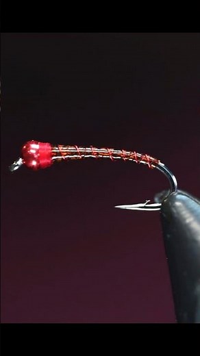 Best Trout Flies: Brown Holo Bloodworm - Chironomid Larvae Fly Pattern #flyfishing #flyfishinglife