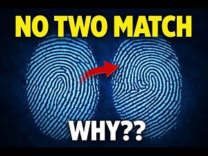 Why Even Identical Twins Have Different Fingerprints