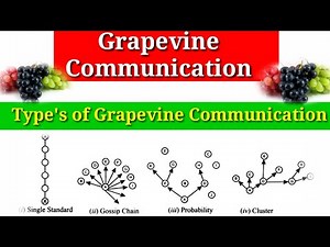Grapevine communication अंगूरीलता सम्प्रेषण in Hindi For NET, SET, B.COM, B.B.A, B.C.A, M.B.A, M.COM
