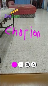 Canada funbag ytv corus chorion portofolio entertainment 2012