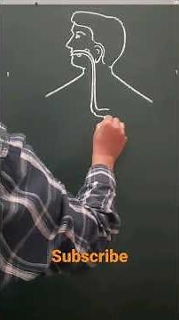 Easy diagram of Human digestive system #drawingtutorial #easydrawing #drawing #art#portraitdrawing