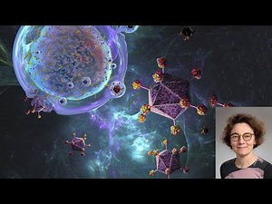 Des cellules armées contre les tumeurs - LES CELLULES, BRIQUES DU VIVANT