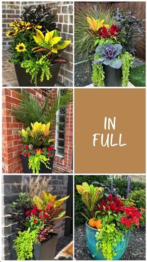 Fall Planter ideas for your home! #gardenideas #fallplanting #gardendesign #homedecor