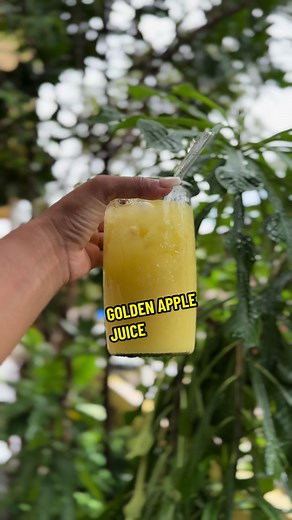 Refreshing Golden Apple Juice with Ginger | Juice Recipe Ideas