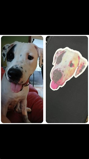 Meet Levi!!! He’s such a good boy. 4 Color CMYK Print process with White under base. Halftones. #screenprinting #cmyk #printing #handprint | Cut The Music Prints & Design